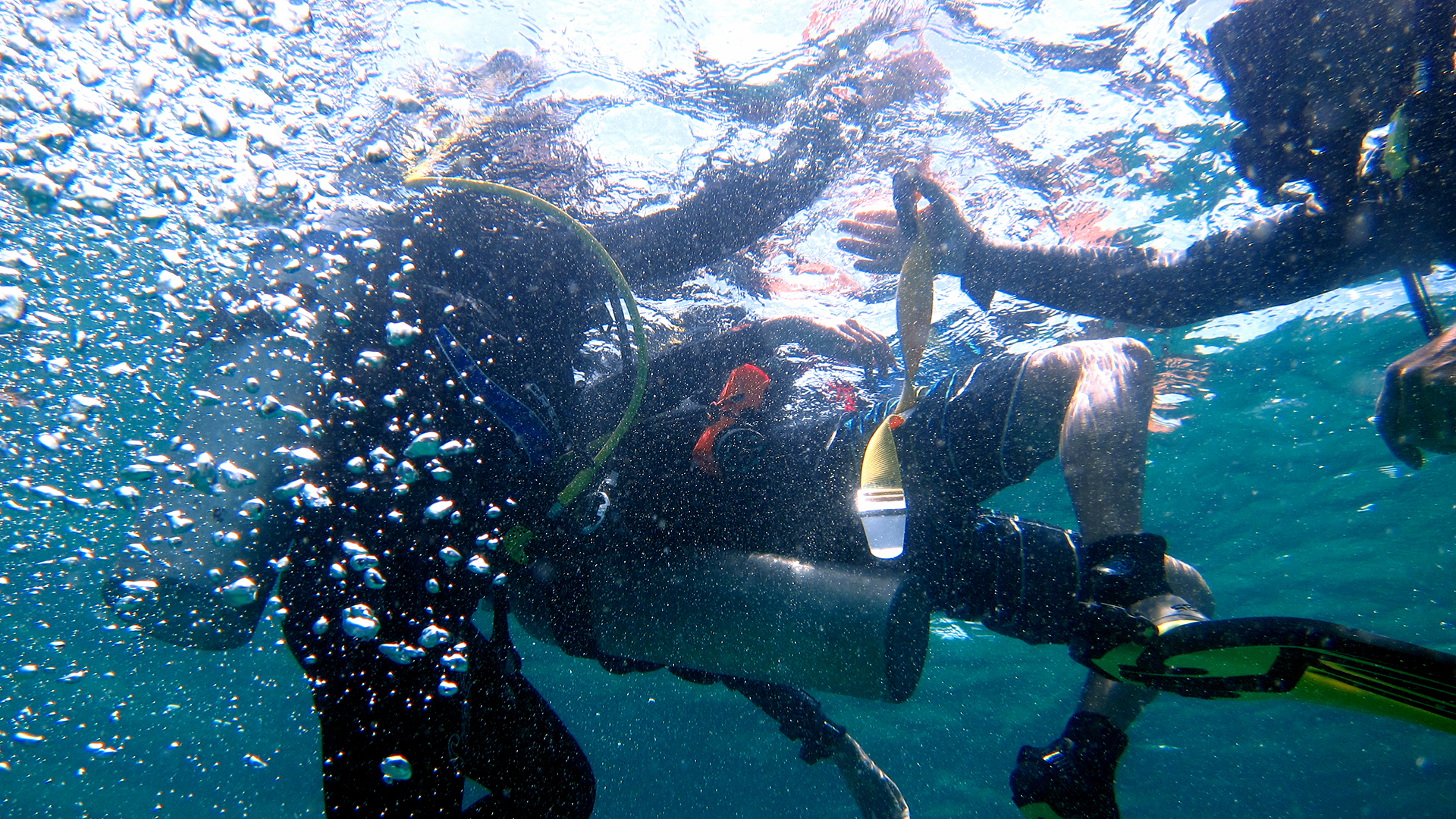 PADI Rescue Diver Course Phuket - Love Diving Phuket