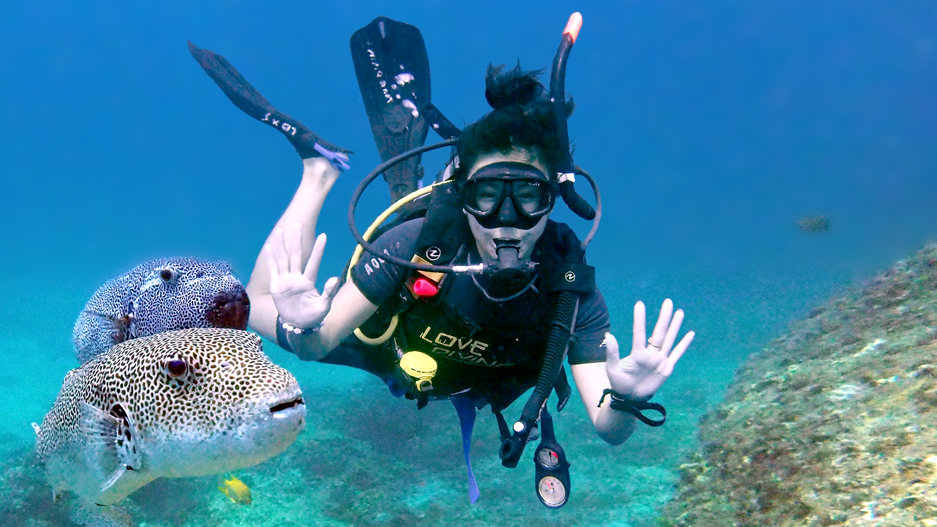 PADI Open Water Diver Course - Love Diving Phuket
