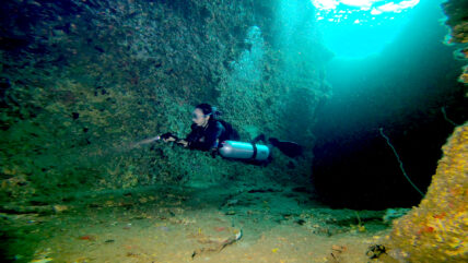 15 Best PADI Specialty Courses - Love Diving Phuket