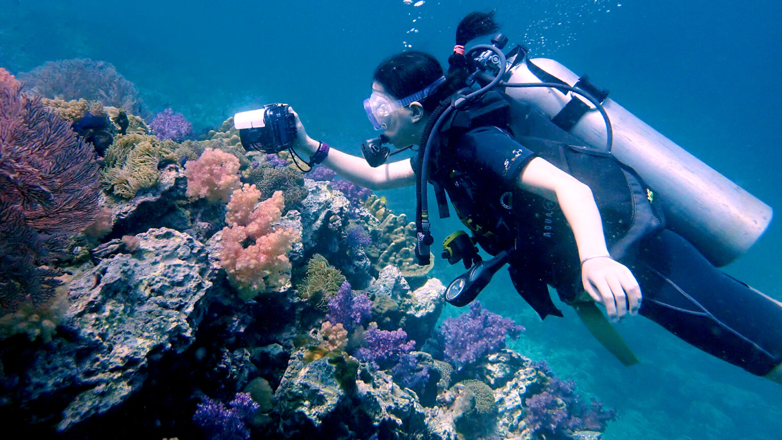 15 Best PADI Specialty Courses - Love Diving Phuket