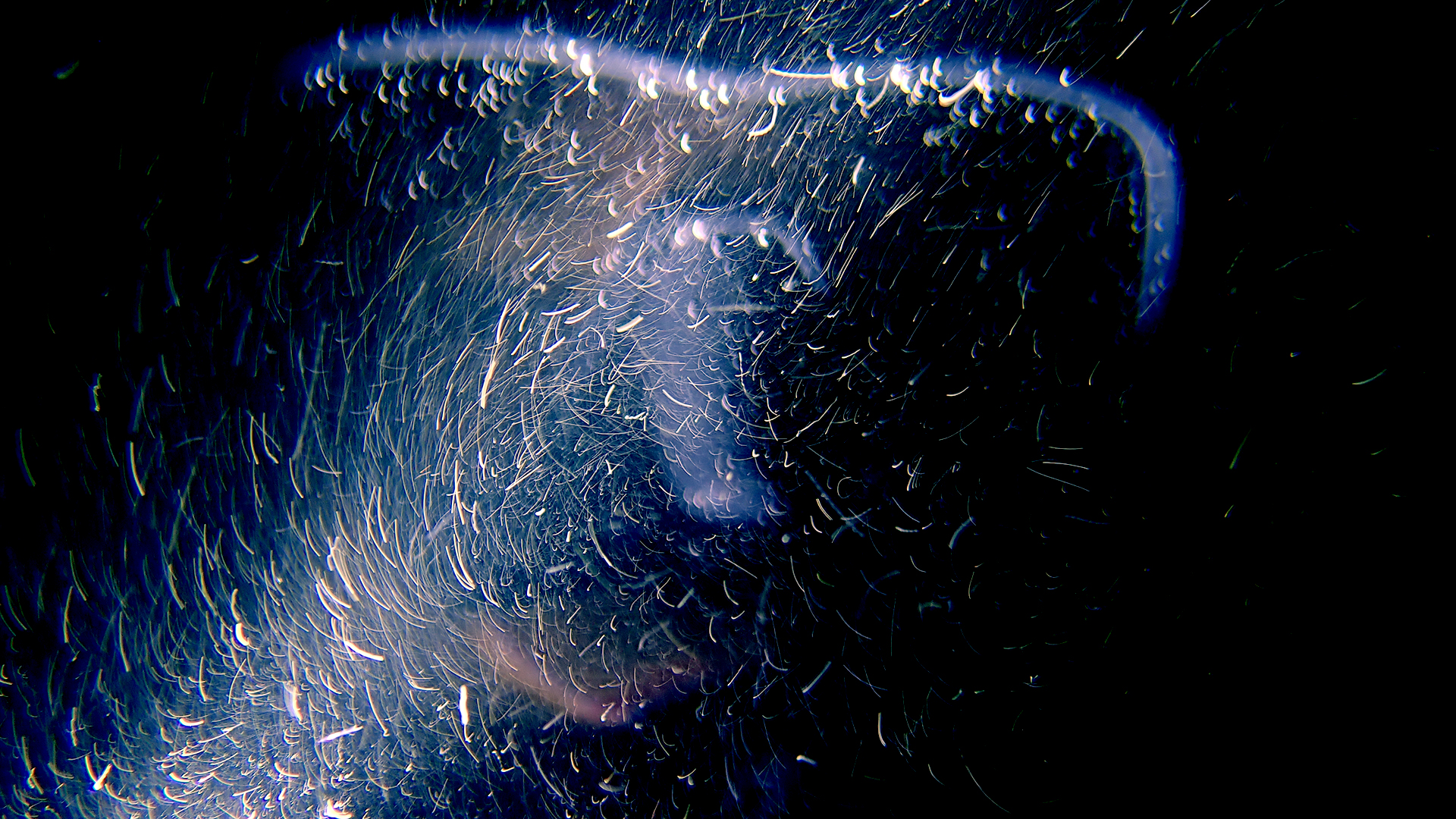 15 Best PADI Specialty Courses - Love Diving Phuket